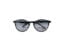 Occhiali Trevi Coliseum - Clark K1397 - Shop Online - Ottica Basile